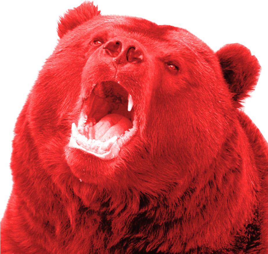Download Red Bear - Russian Bears PNG Image with No Background - PNGkey.com
