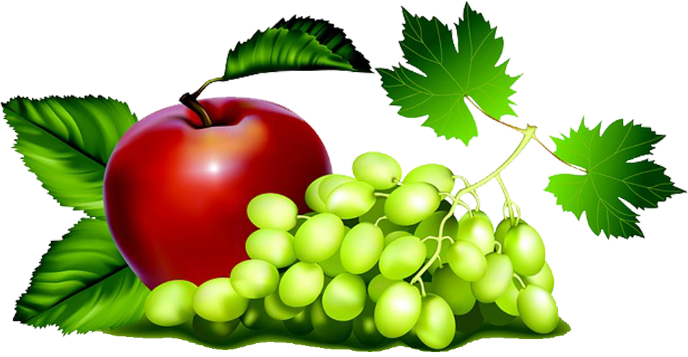 Download Maça E Uvas Em Png - Sulit Meyakinkan Monyet Kalau Apel Lebih ...