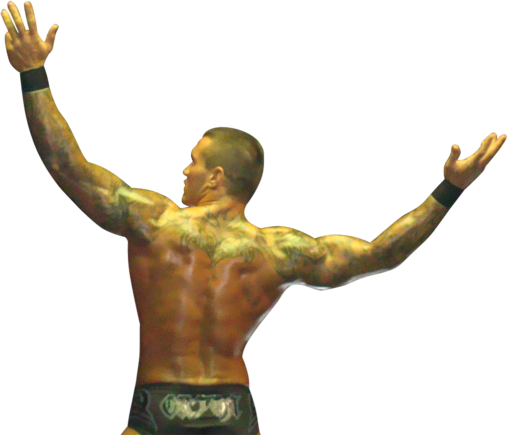 Randy Orton 2014 Png Download - Back Pictures Of Randy Orton - Free ...