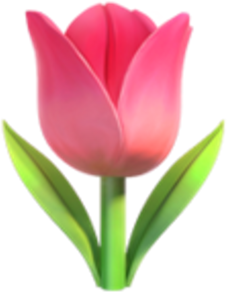 Download Tulip Emoji PNG Image with No Background - PNGkey.com