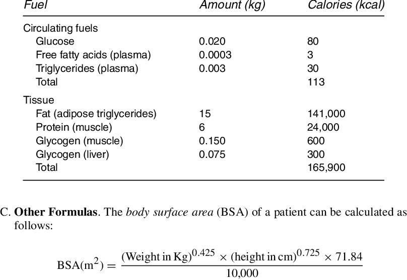 Download Normal Fuel Composition Of The Human Body PNG Image with No ...