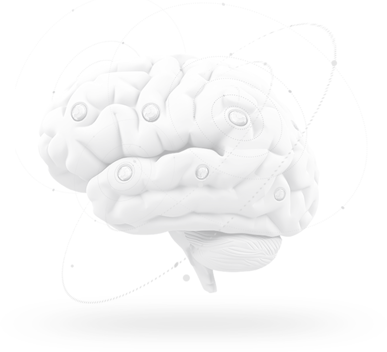 Download Brain - Illustration PNG Image with No Background - PNGkey.com