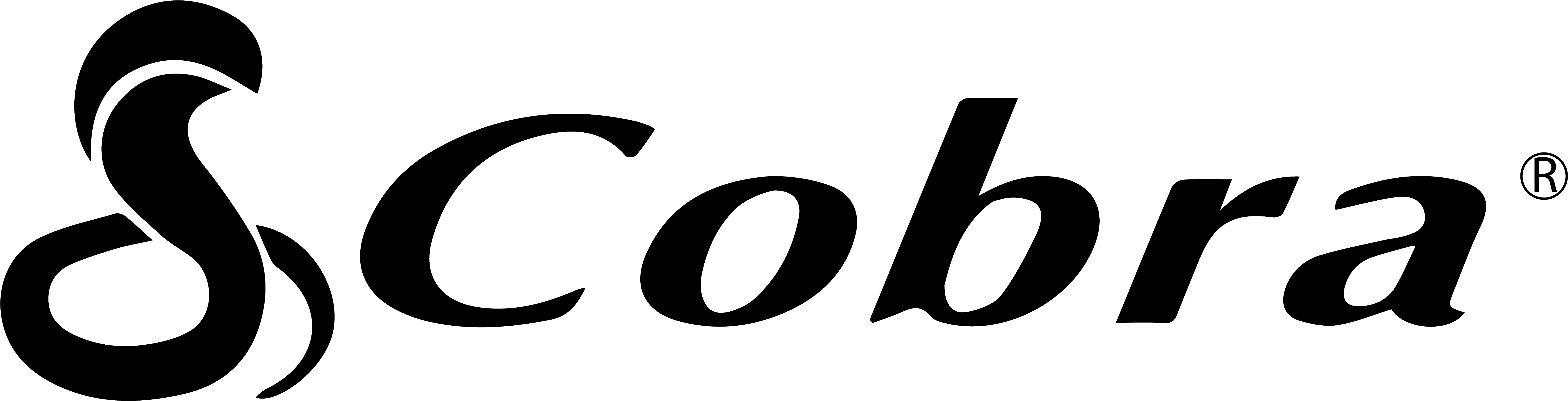 Download Adventure Hd Action Camera - Cobra Electronics Logo PNG Image with No Background ...