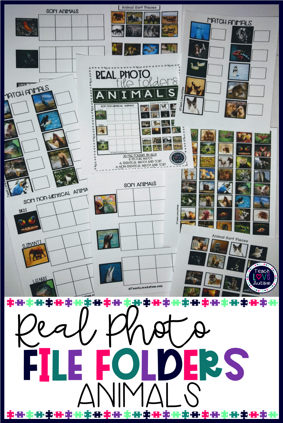 Download These File Folders Allow For Students To Match Identical ...