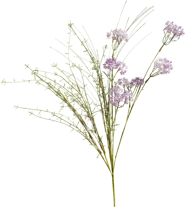 Download Shady Meadow Flower Lilac - Meadow Flowers Png Transparent PNG ...