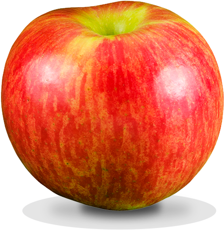 Mcintosh - Free Transparent PNG Download - PNGkey