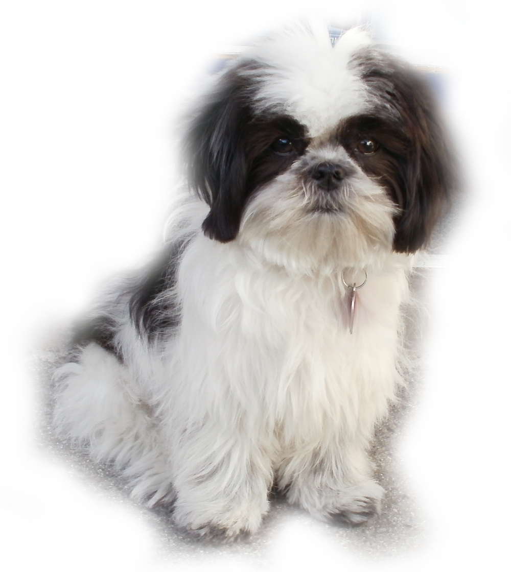 Download Locksmith Bay Area - 922 Terminal Way San Carlos Ca 94070 PNG ...