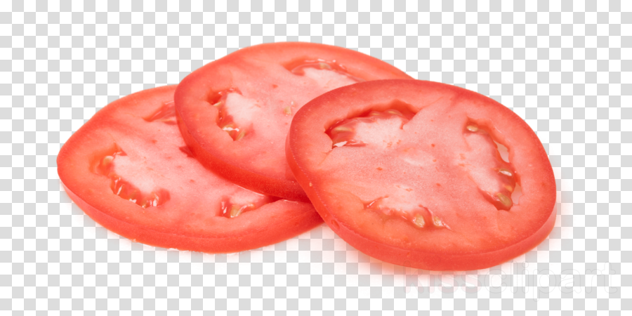 Download Tomato Slice Png PNG Image with No Background - PNGkey.com