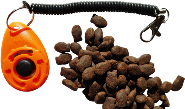 Download Dog Clicker With Fish Treats For Training - Dog PNG Image with ...