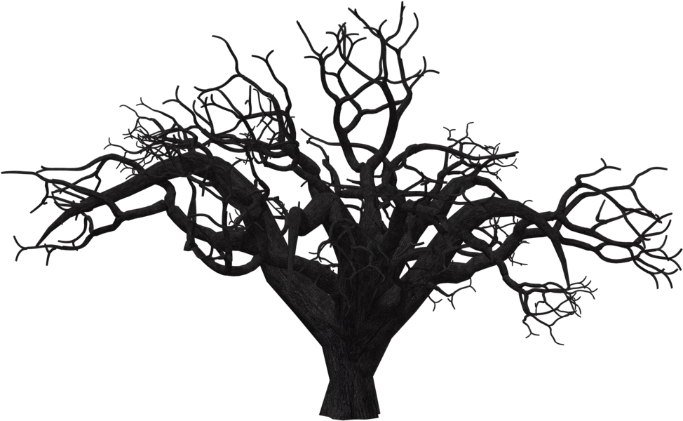 Download Transparent Tree - Scary Tree Png PNG Image with No Background ...