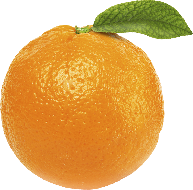 Orange Png Image - Transparent Transparent Background Orange - Free ...