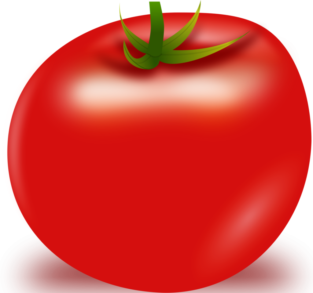 Tomato Vector Png - Tomato - Free Transparent PNG Download - PNGkey