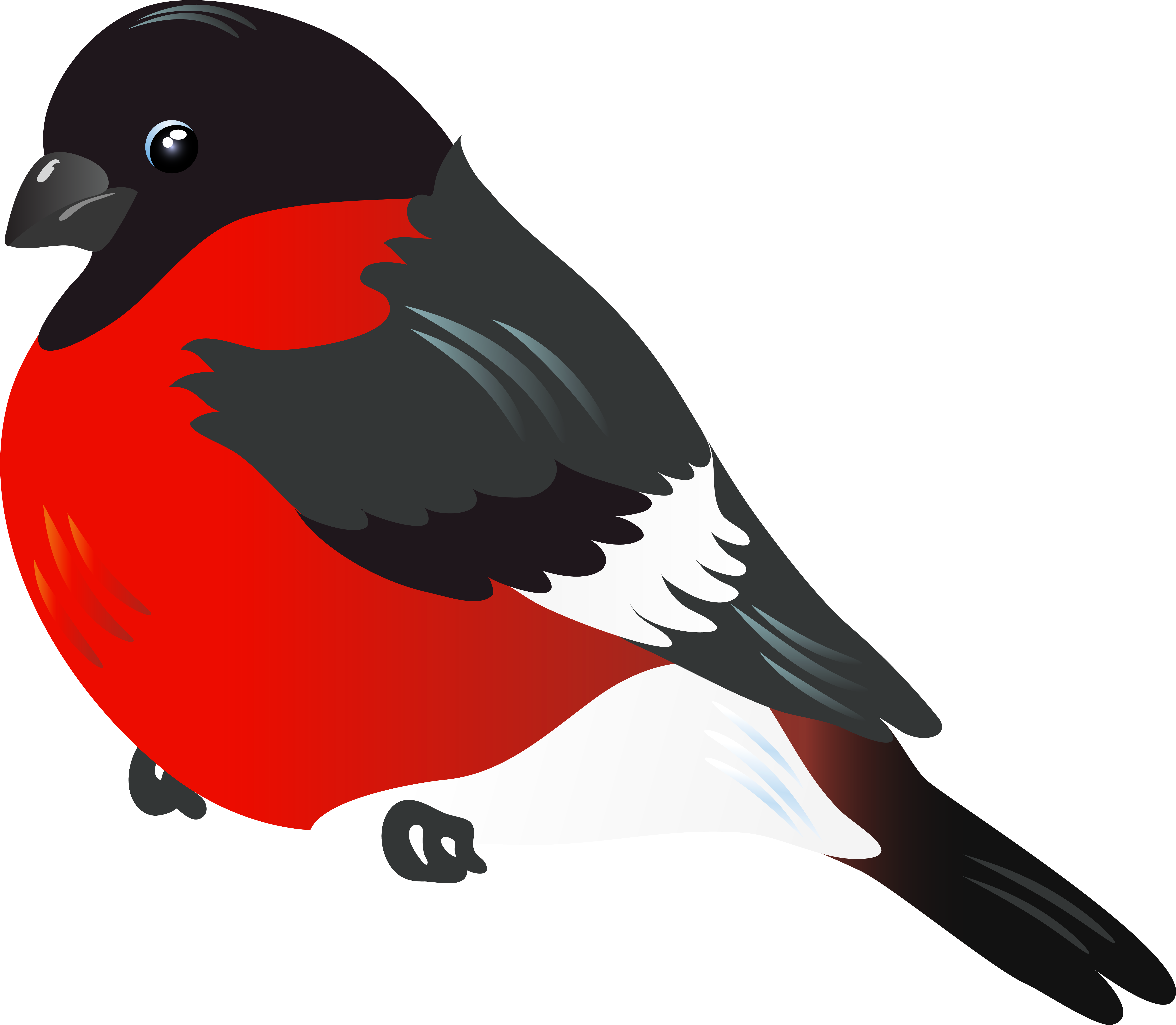 Download Red Bird Png PNG Image with No Background - PNGkey.com