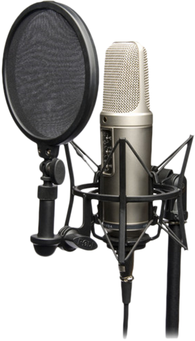 Download Recording Studio Mic Png - Rode Nt 2a Microphone PNG Image ...