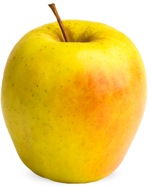 Download Gingergold Apples Are Medium To Large In Size With - Ginger ...