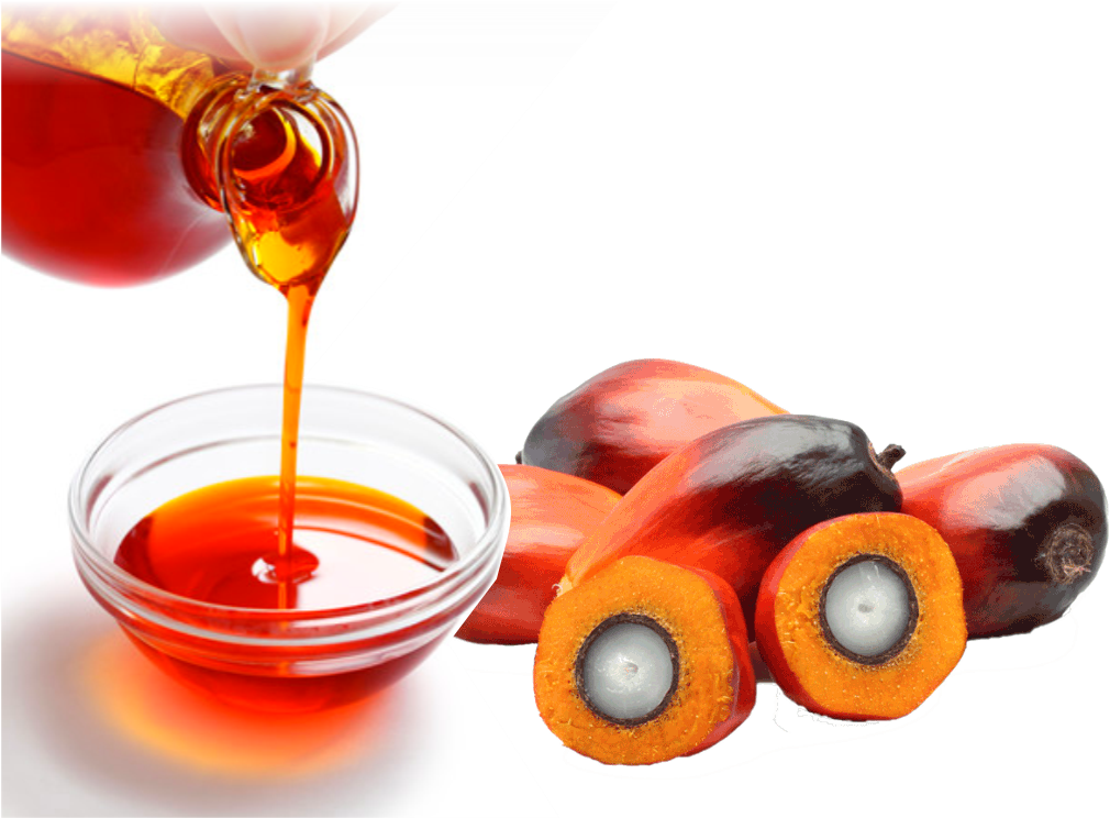 Download Home/vegetable Oils/rdb Palm Oil - Palm Oil Images Transparent ...