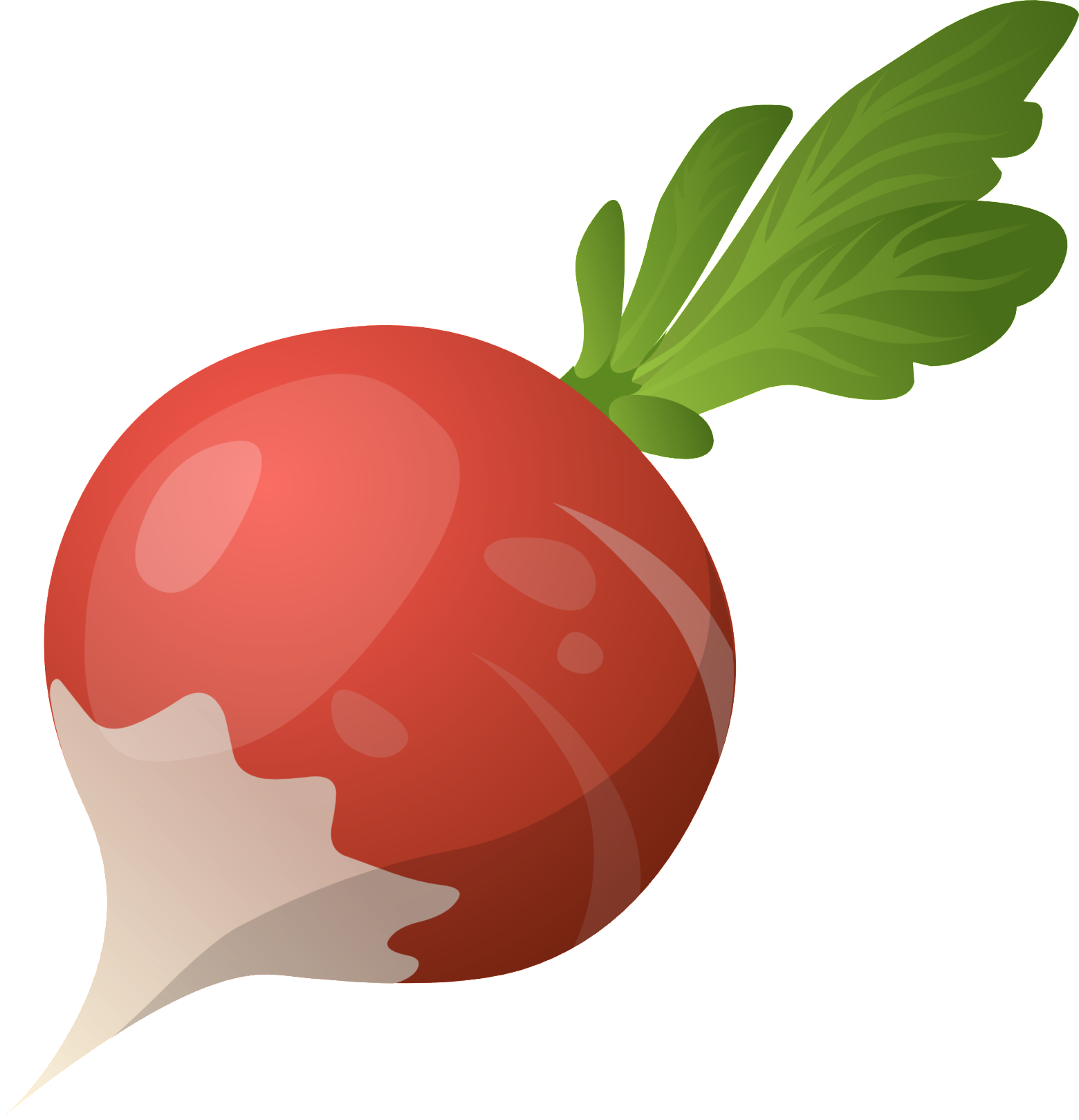 Download Radish Transparent PNG Image with No Background - PNGkey.com