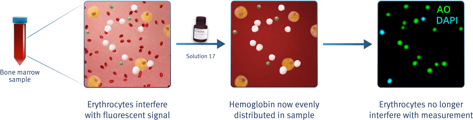 Download Gmp Ready Automated Cell Counter - Bone Marrow PNG Image with ...