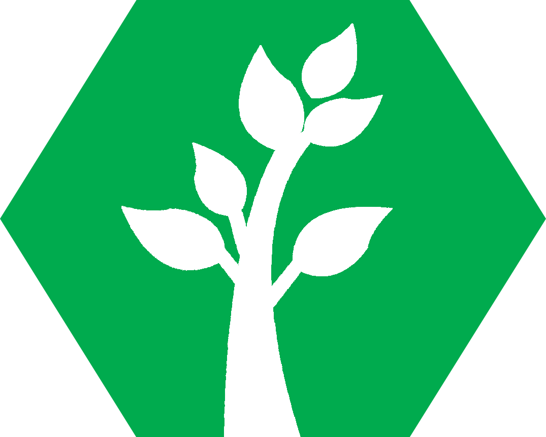 Download Benefits Icon Green - Icon Benefits PNG Image with No ...