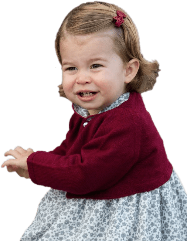 Download Download - Princess Charlotte Png PNG Image with No Background ...