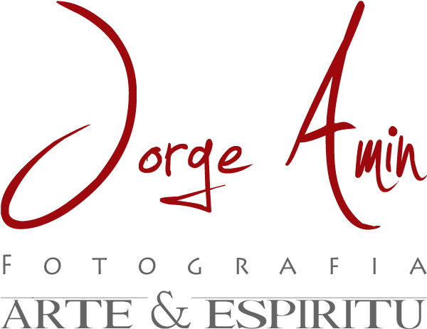 Download Jorge Amin - Amour PNG Image with No Background - PNGkey.com