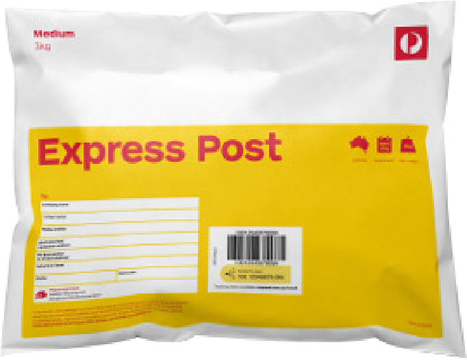 Download Express Post Medium Satchel PNG Image with No Background ...
