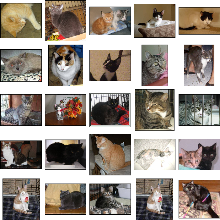 Download Download - Portable Network Graphics PNG Image with No ...