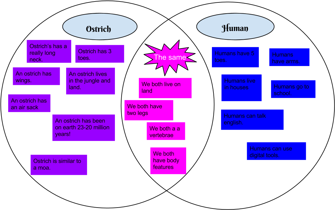 In This Venn Diagram, I Had To Compare A Ostrich To - Circle - Free ...