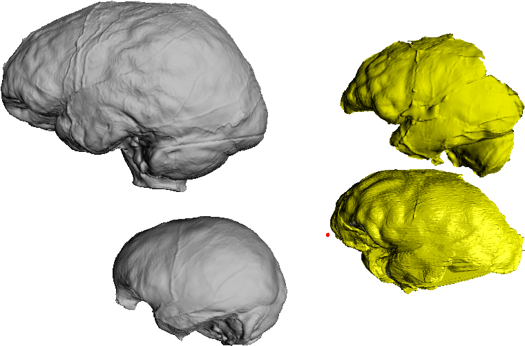 Download Zachary Cofran On Twitter - Sketch PNG Image with No ...