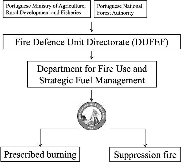 Download Structure Of The Fire Use And Analysis Group - Cvc Capital ...