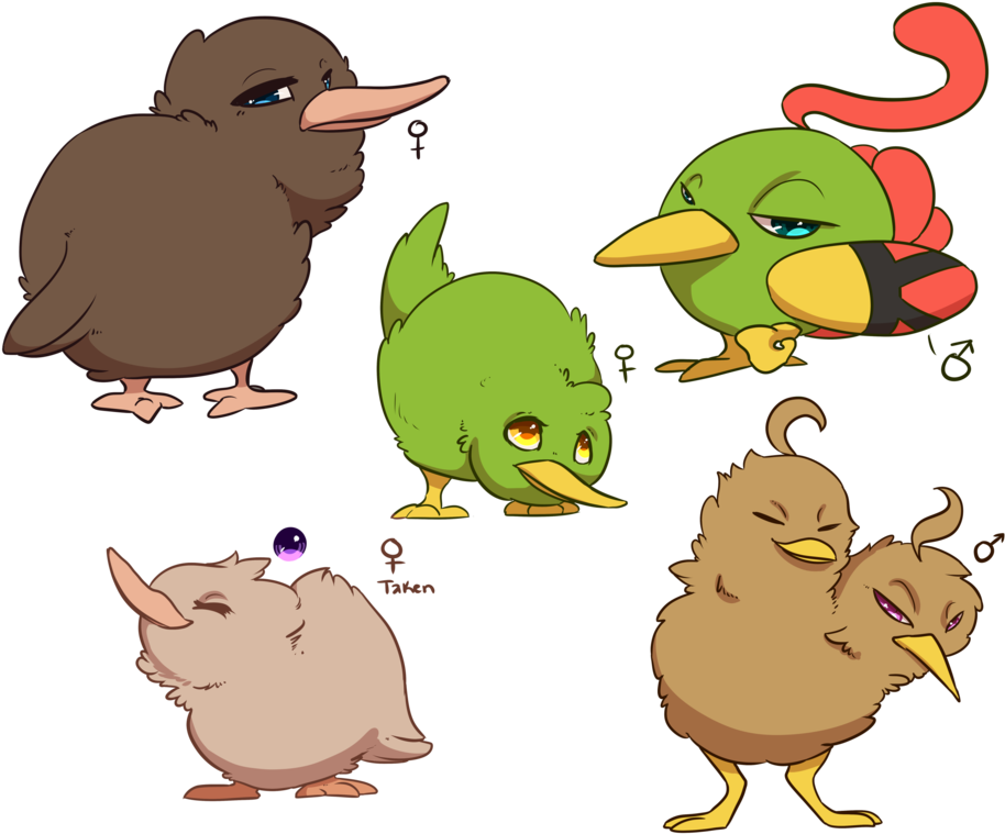 Download Kiwi Bird Pet - Kiwis PNG Image with No Background - PNGkey.com