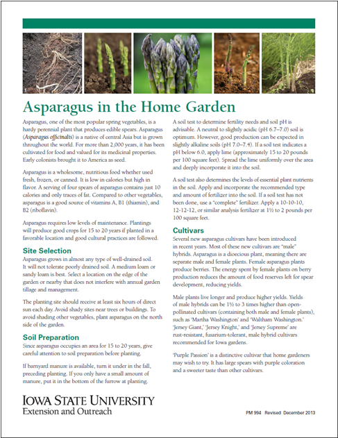 Download 1 Alt - Tree PNG Image with No Background - PNGkey.com