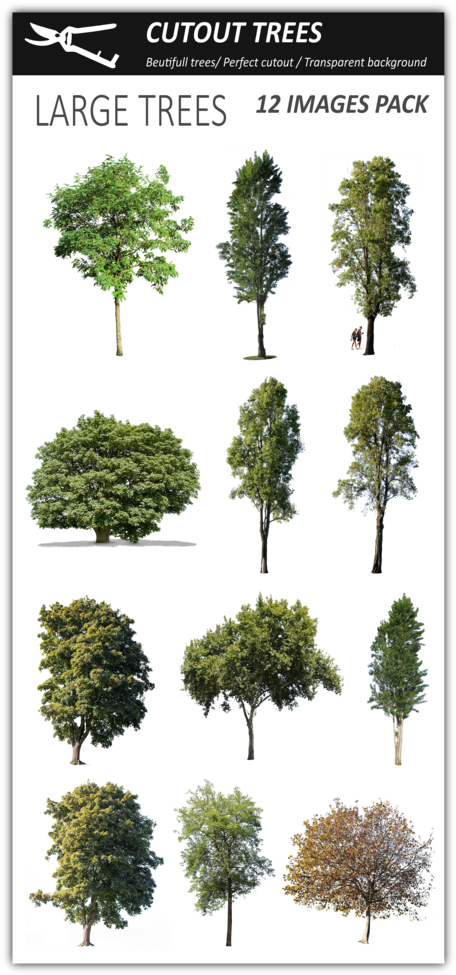 12 Large Trees Pack - Tree - Free Transparent PNG Download - PNGkey