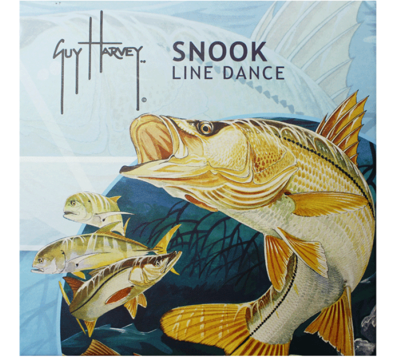 Download Oz Silver Coin - Guy Harvey Snook Fish PNG Image with No ...