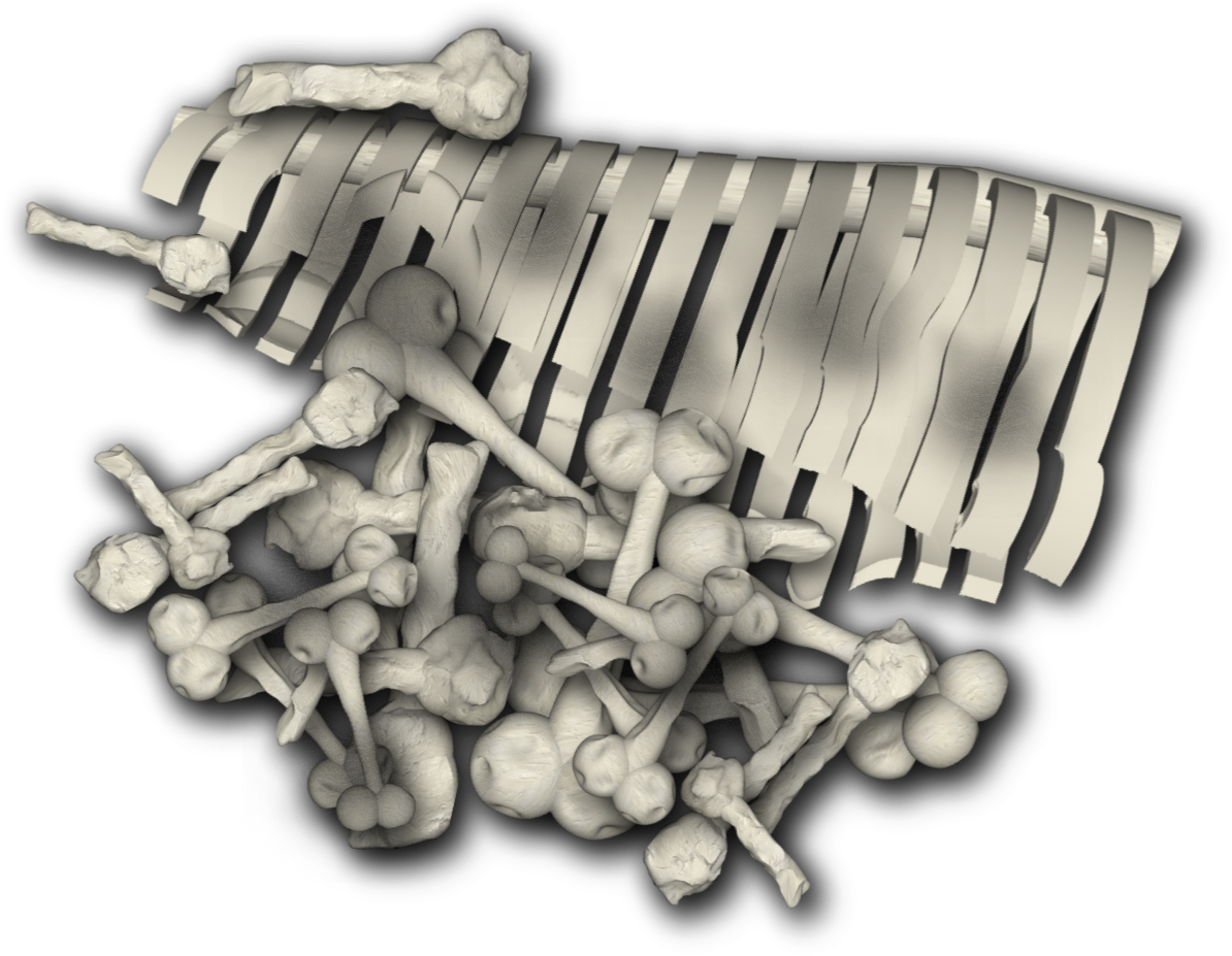 Download Bonepile-4e - Dundjinni Bones PNG Image with No Background ...