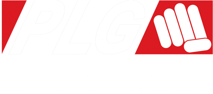 Download Plg Grand Slam, Plg Nationals Season 1, Overwatch Tournament ...