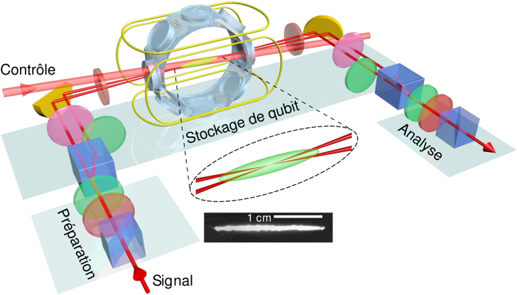 Download Memory - Quantum Memory PNG Image with No Background - PNGkey.com
