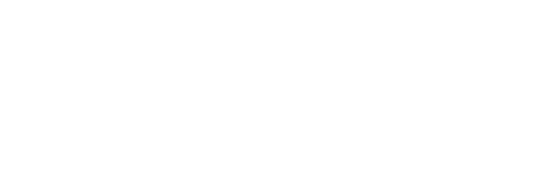 Download Tim Tebow Foundation - Night To Shine 2019 PNG Image with No ...