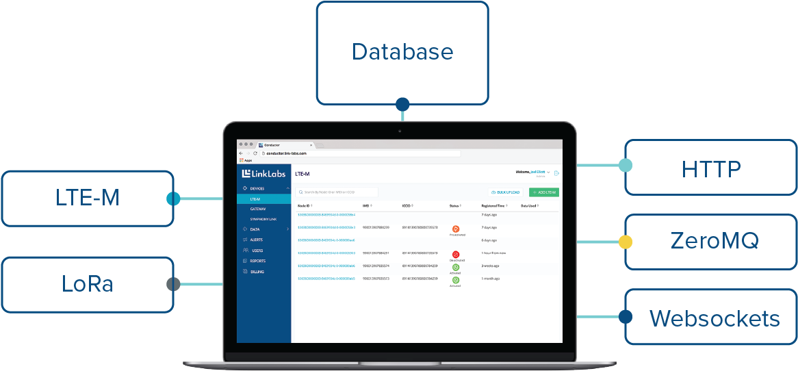 Download Simple Apis - Graphics PNG Image with No Background - PNGkey.com