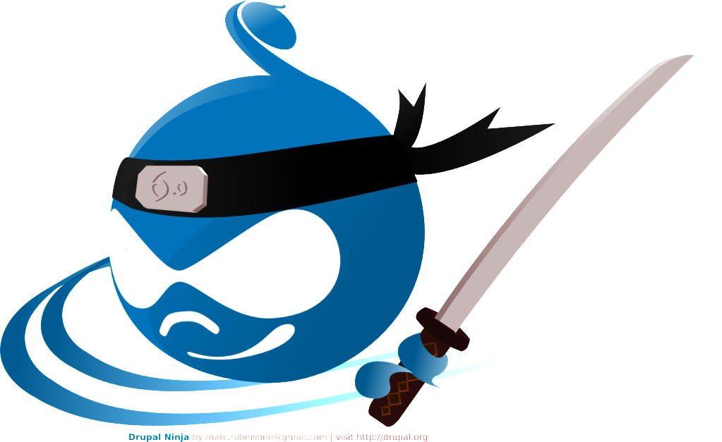 Download Drupal Ninja PNG Image with No Background - PNGkey.com
