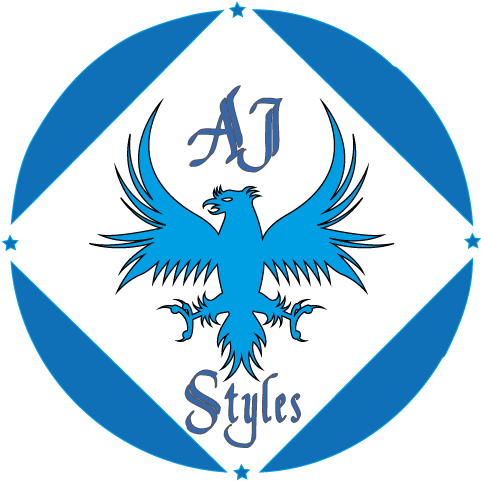 Download Aj Styles Logo Png - Emblem PNG Image with No Background - PNGkey.com