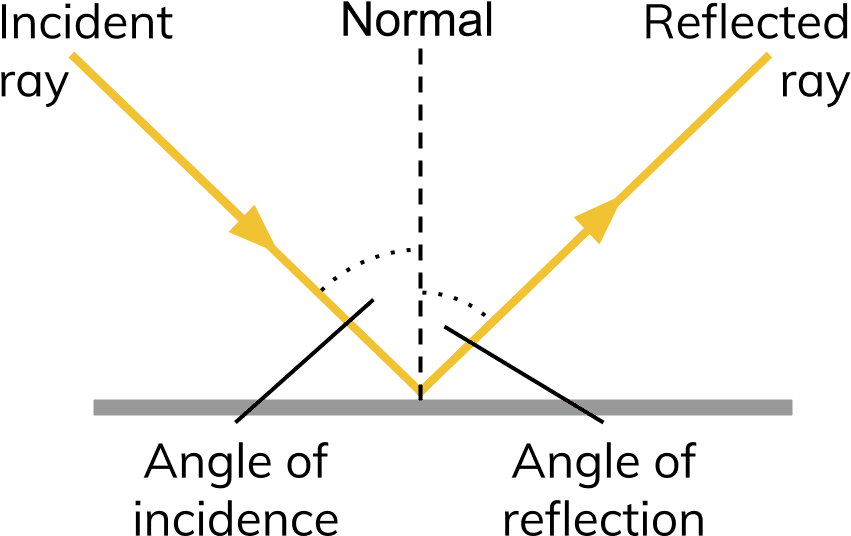 Diagram Of A Light Ray Being Reflected By - Diagram - Free Transparent ...
