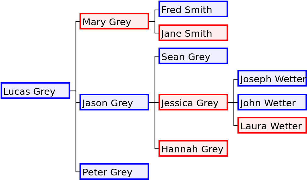 Download Java Family Tree PNG Image with No Background - PNGkey.com