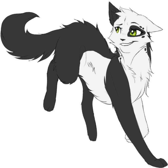 Deviantart Riverspirit456 Black And White Cat - Free Transparent PNG ...