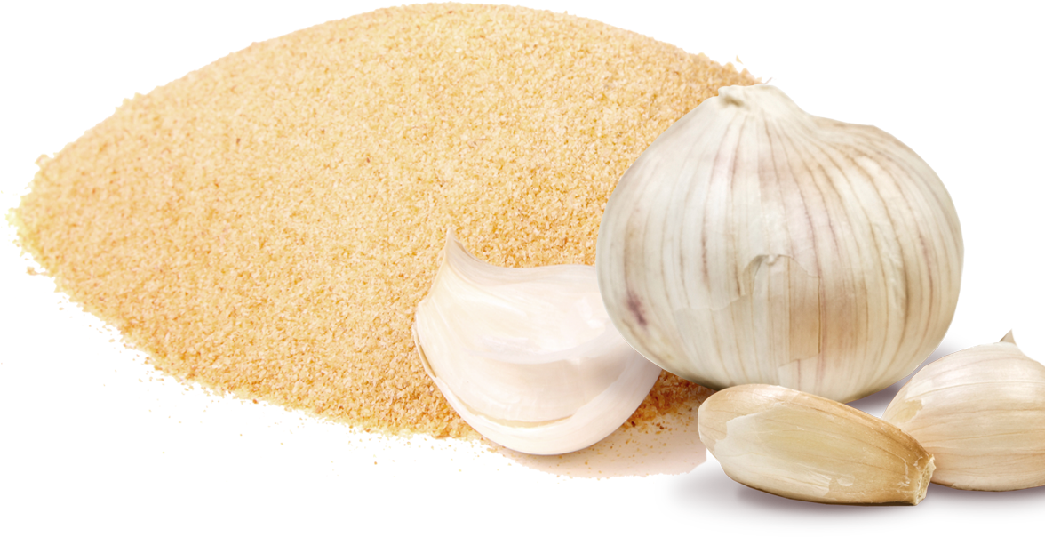 Download Garlic PNG Image with No Background - PNGkey.com