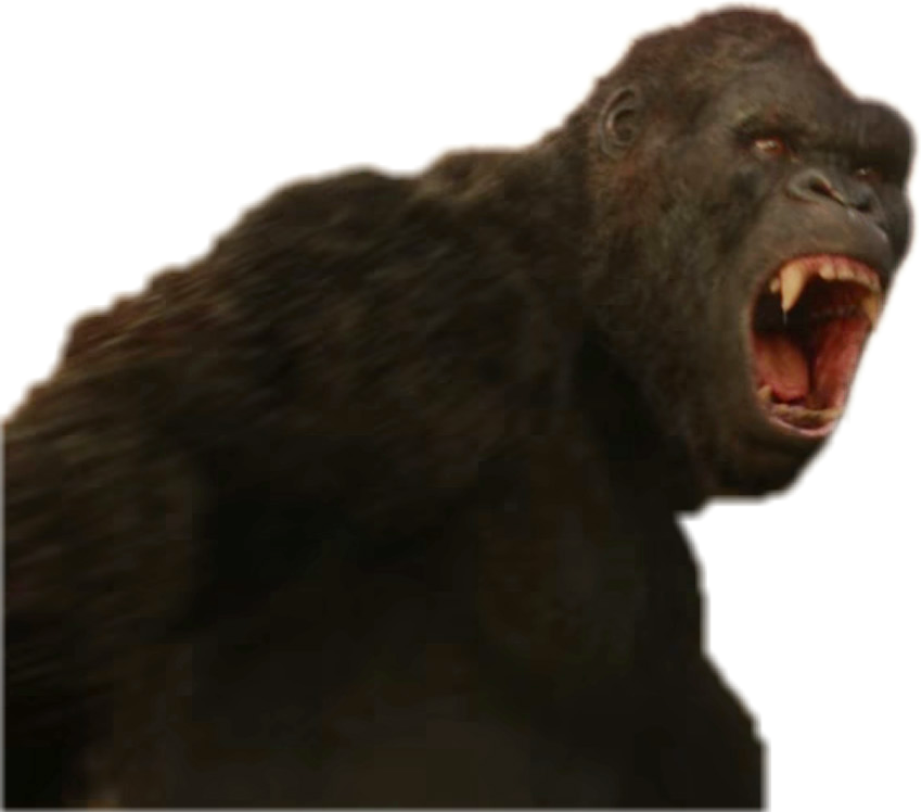 Download Kong Png - Kong Skull Island Png PNG Image with No Background ...