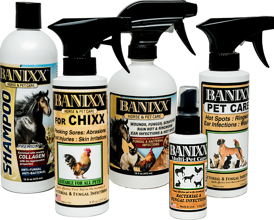 Download Banixx Is The Product Of Choice For Cat Owners For - Banixx ...
