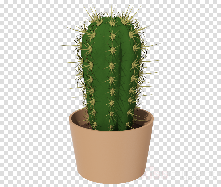 Download Cactus Png Clipart Cactus Clip Art - Key Icon No Background ...