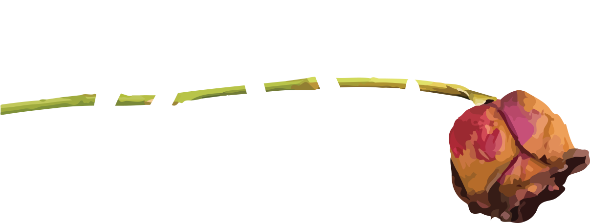 Download Director @soargaming - Apple PNG Image with No Background ...