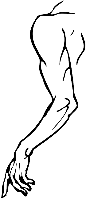 Part, Left, Outline, Hand, Human, Cartoon, Free, Body - Arm Clip Art ...